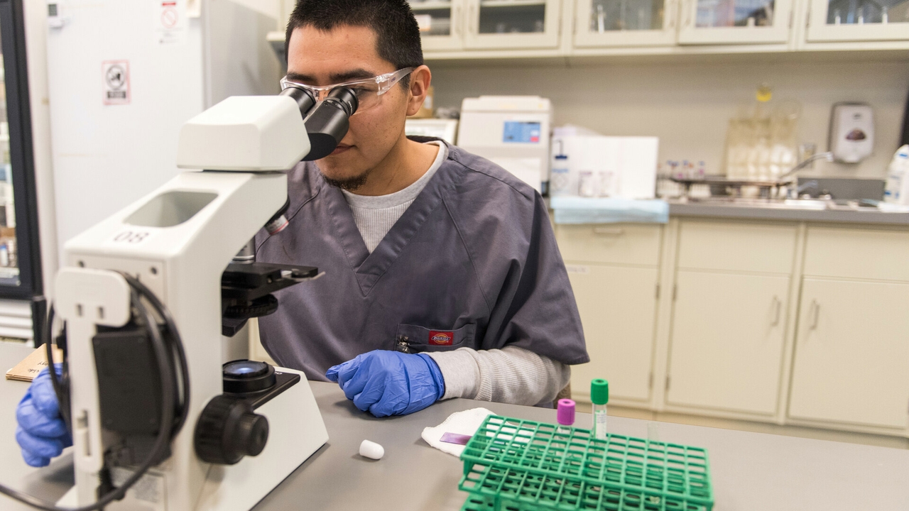 U-RISE supports student biomedical research | UNM UCAM Newsroom